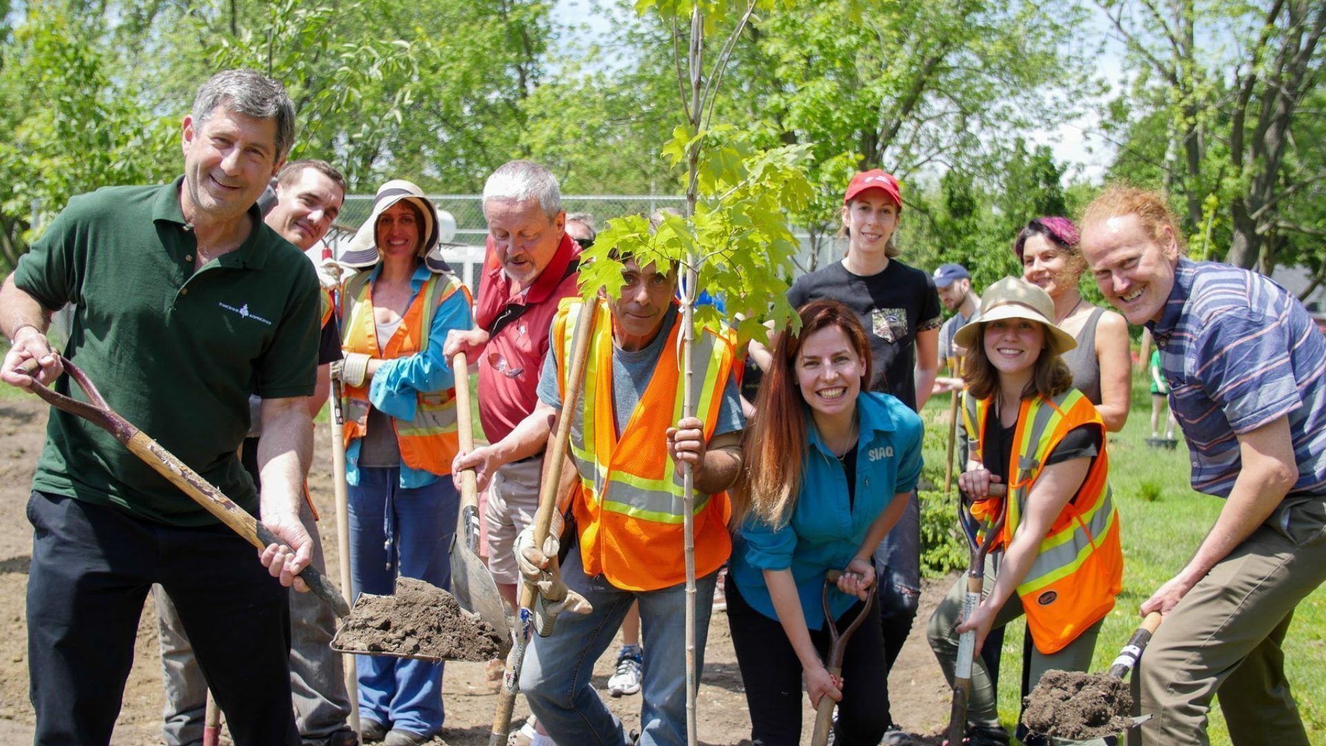 Tree Canada: Planting roots across the nation - Alliance 2030