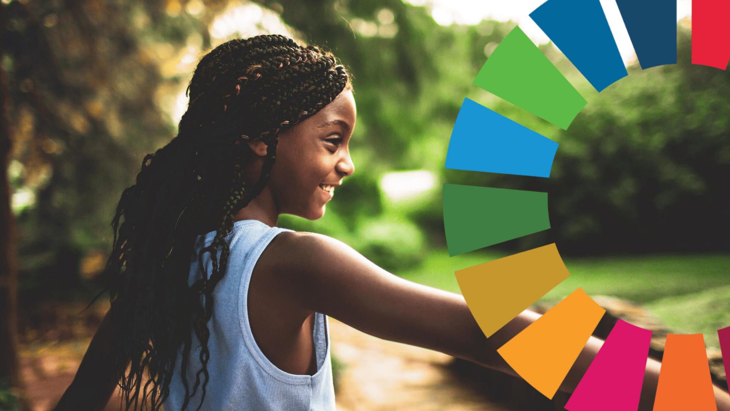 The SDG Guidebook and Toolkit: A Community Foundation Resource on the ...