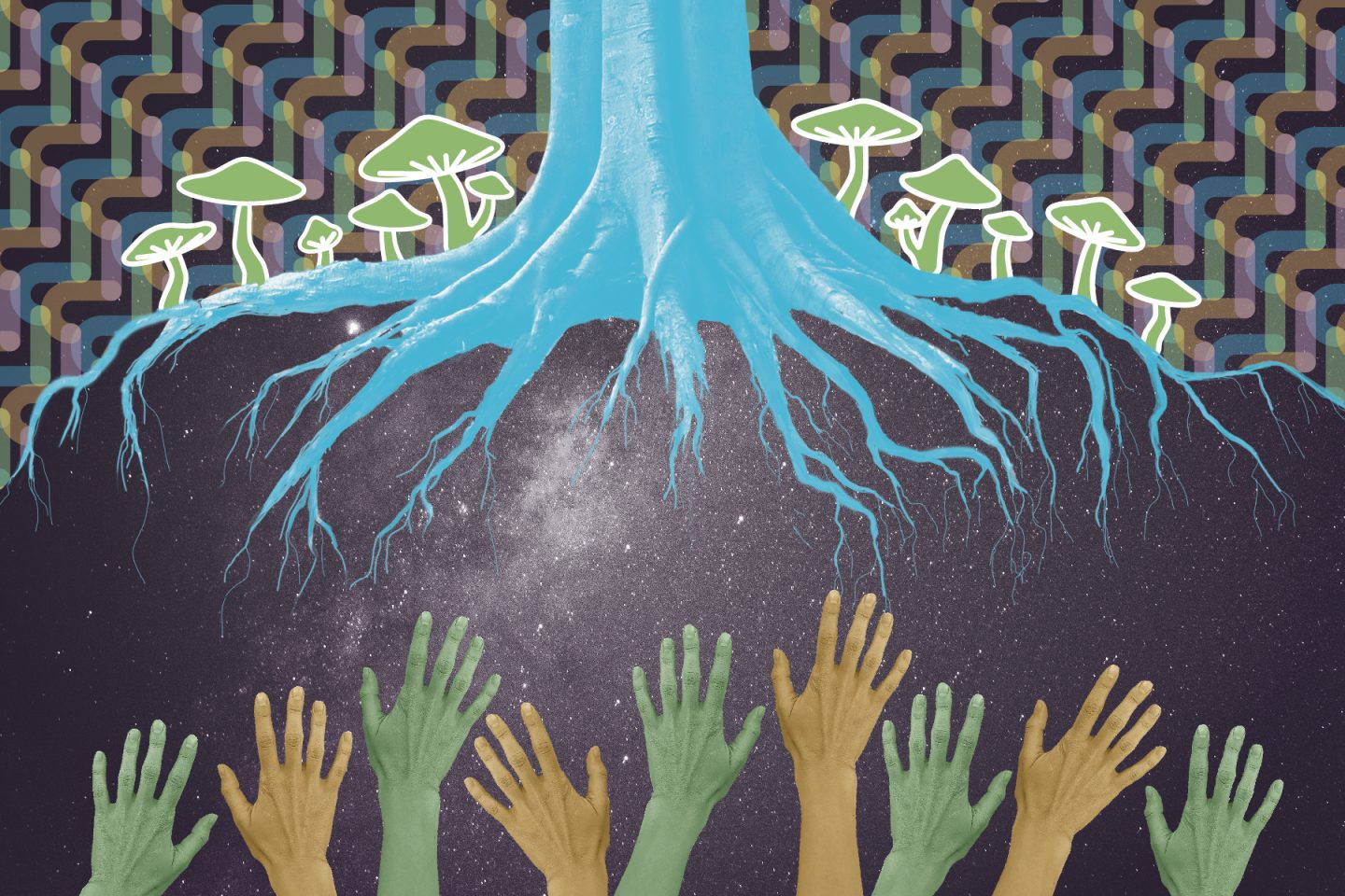 Radical Collaboration: Heart-Centered Approaches Towards Radical Change ...